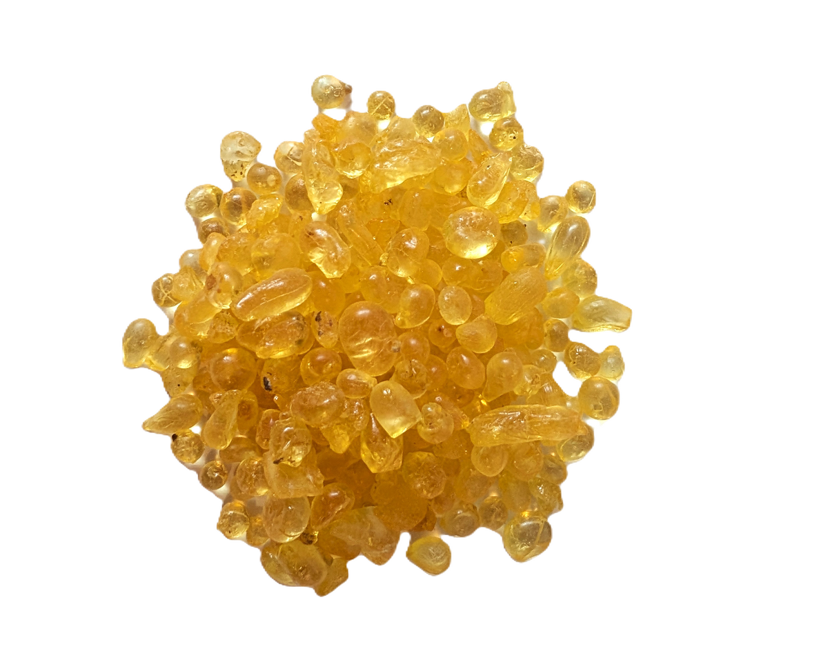Gum Mastic – Encens Merlin